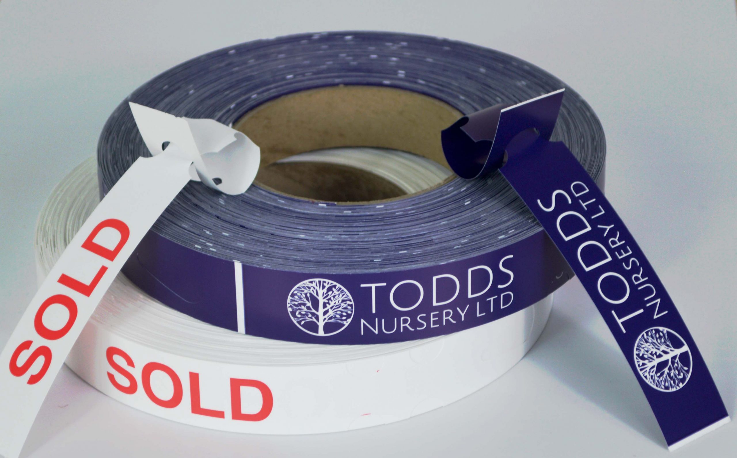 Customised horticulture loop-lock tags enhance bio-security - Piroto ...